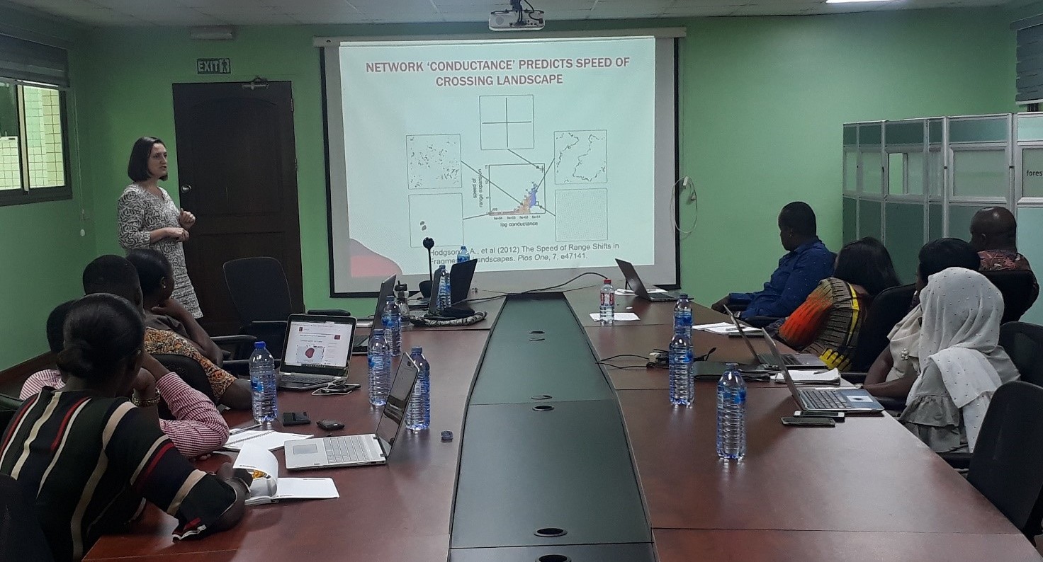 Condatis in the Krokosua Hills, Ghana